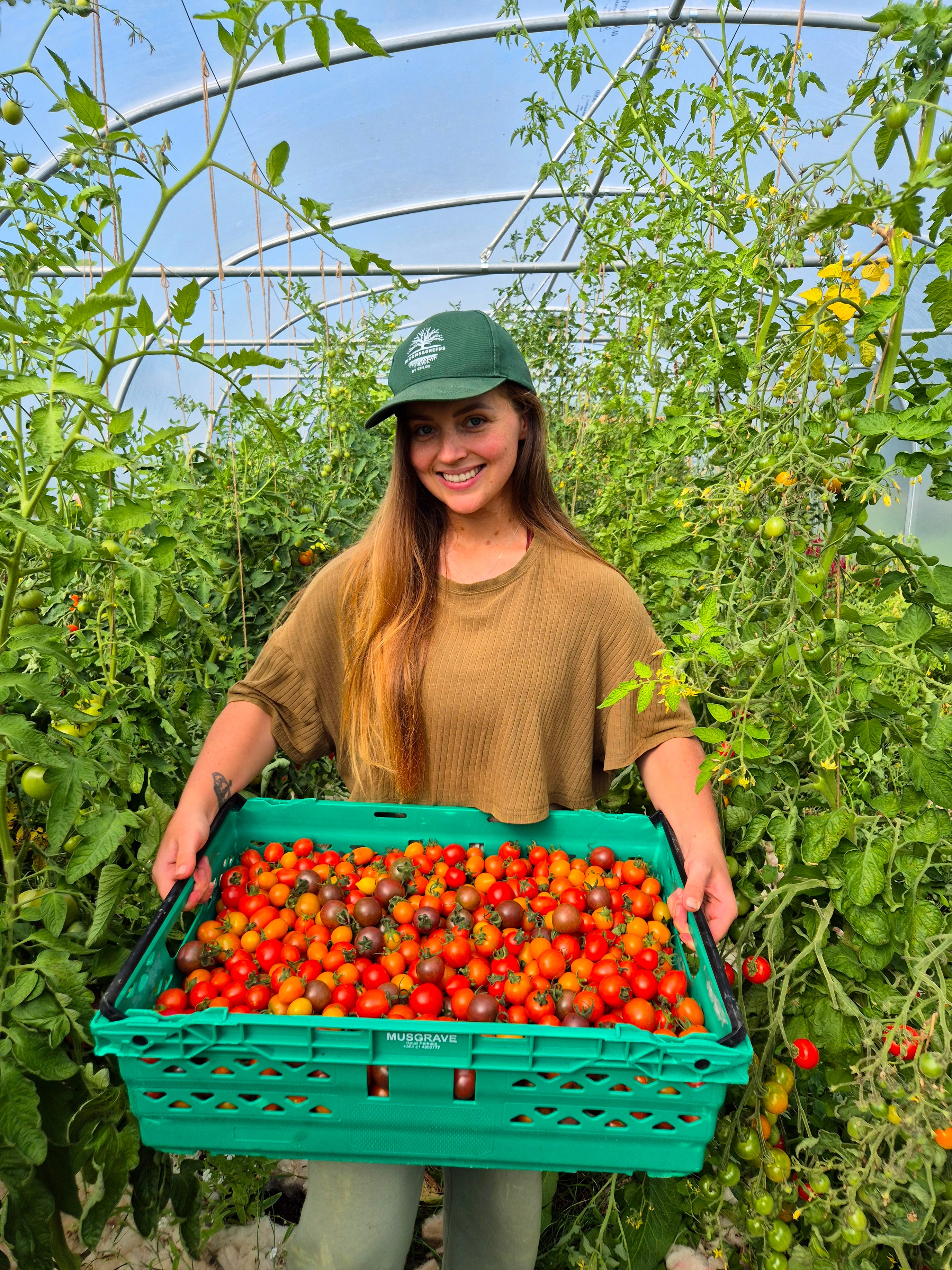 Blooms&Greens by Chloe – Blooms&Greens by Chloe