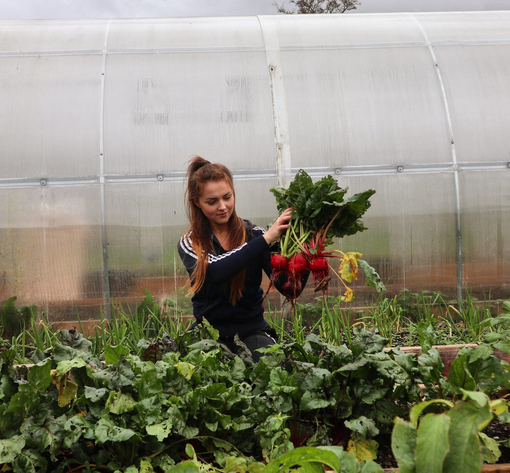 Blooms&Greens by Chloe – Blooms&Greens by Chloe